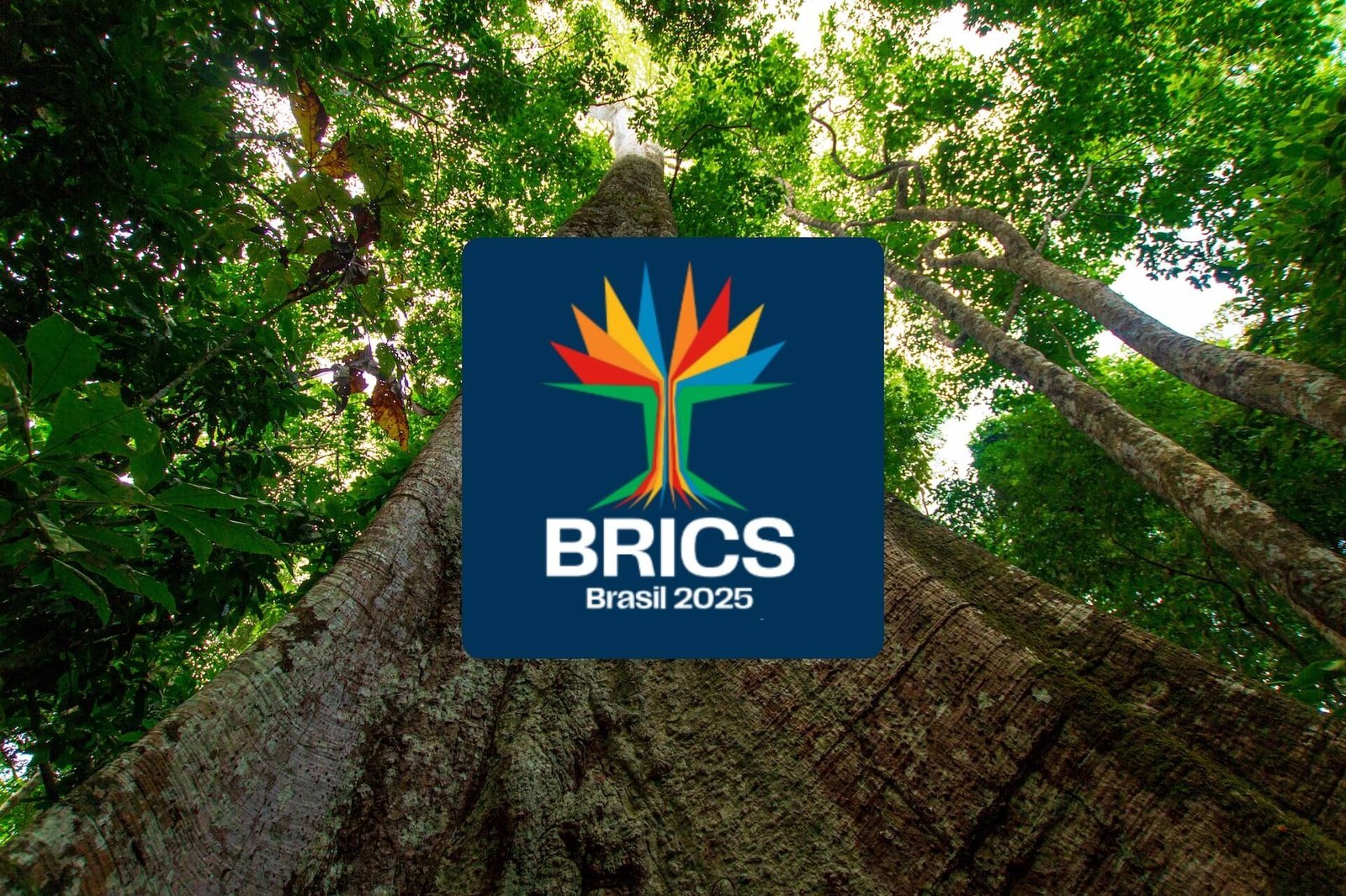 Identidade visual do BRICS Brasil